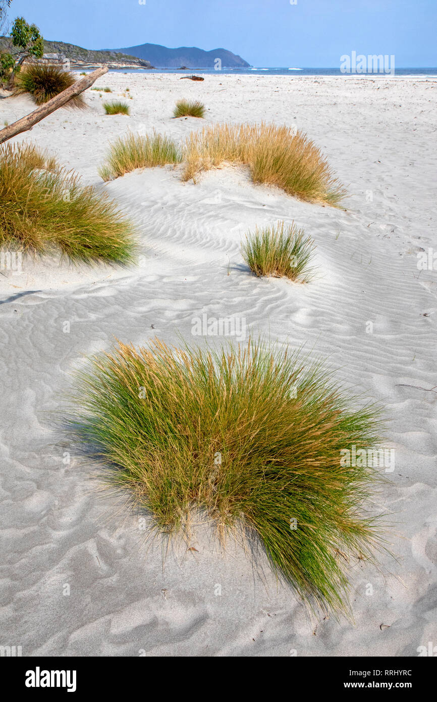 Beach at South Cape Rivulet along the South Coast Track Stock Photo - Alamy