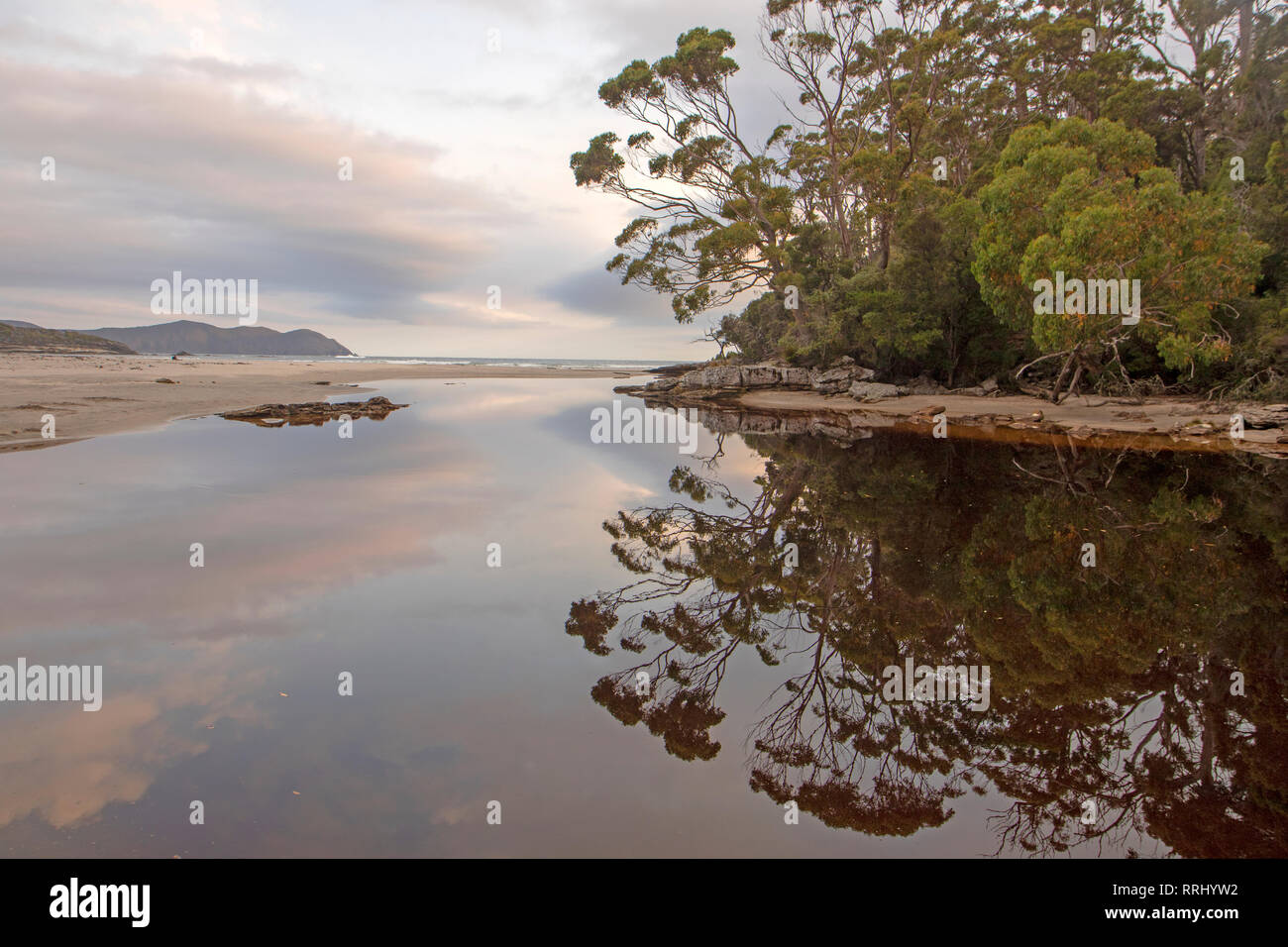 Rivulet park tasmania hi-res stock photography and images - Alamy