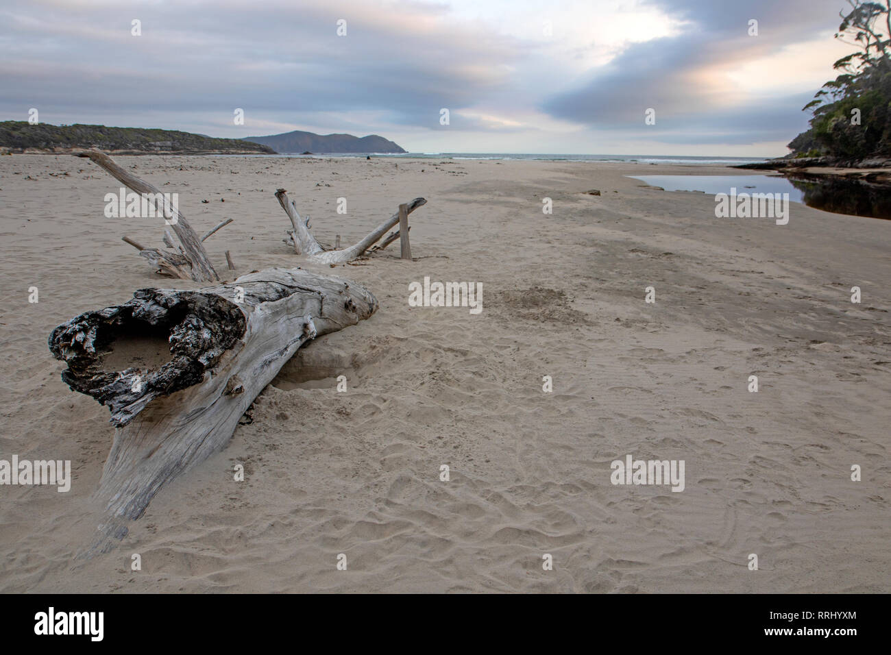 Beach at South Cape Rivulet along the South Coast Track Stock Photo - Alamy