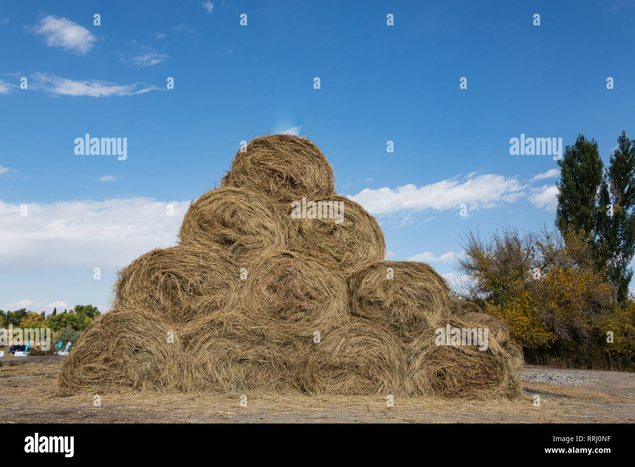 Dry baled hay bales stack, rural countryside straw background. Hay ...