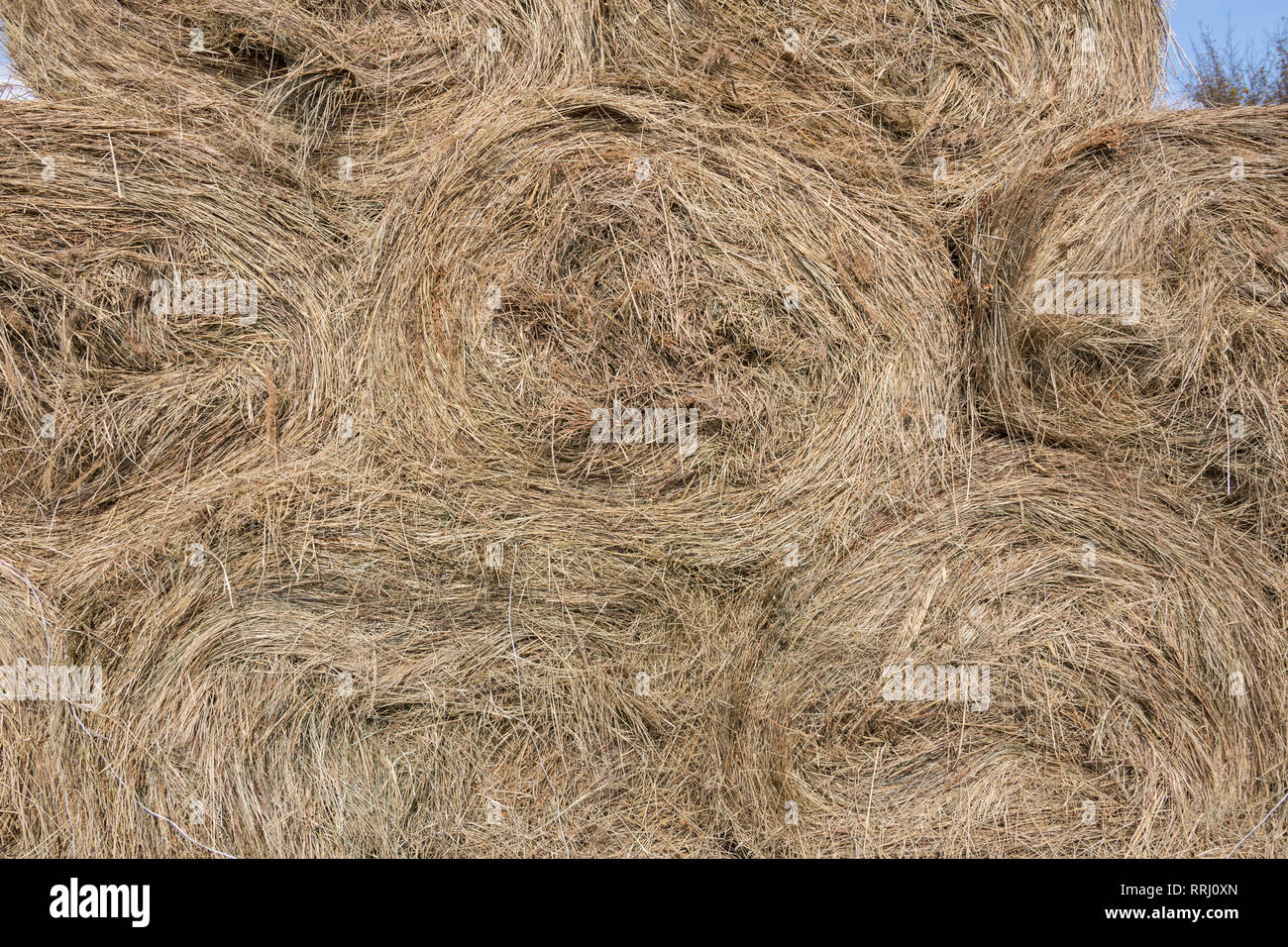 Dry baled hay bales stack, rural countryside straw background. Hay ...