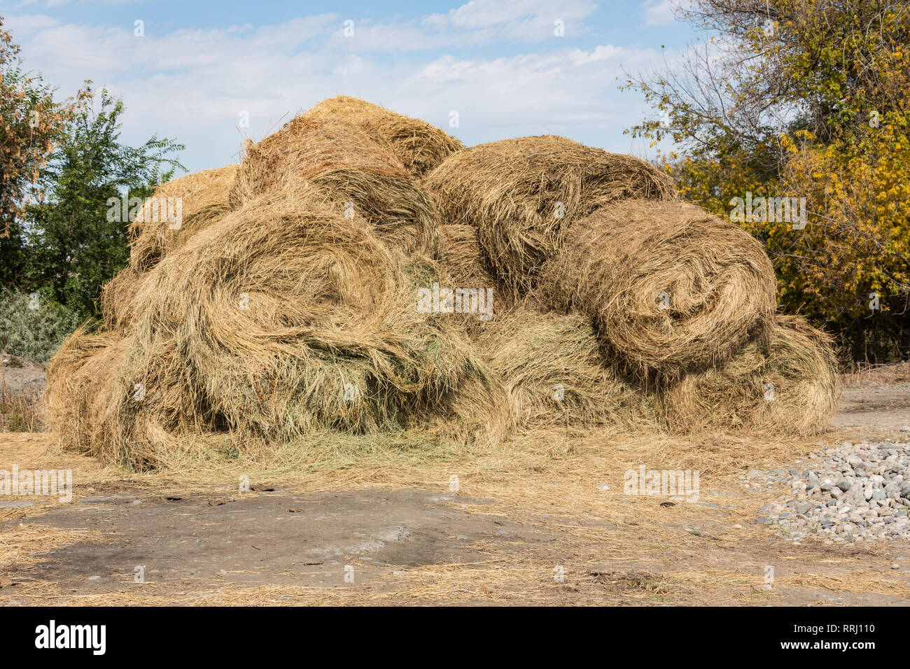 Dry baled hay bales stack, rural countryside straw background. Hay ...