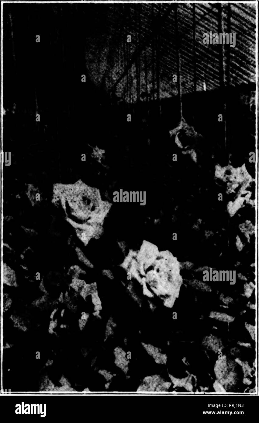 Rising steadily Black and White Stock Photos & Images - Alamy