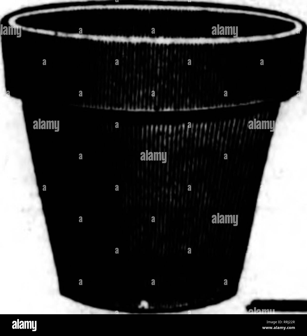 Hun red Black and White Stock Photos & Images - Alamy