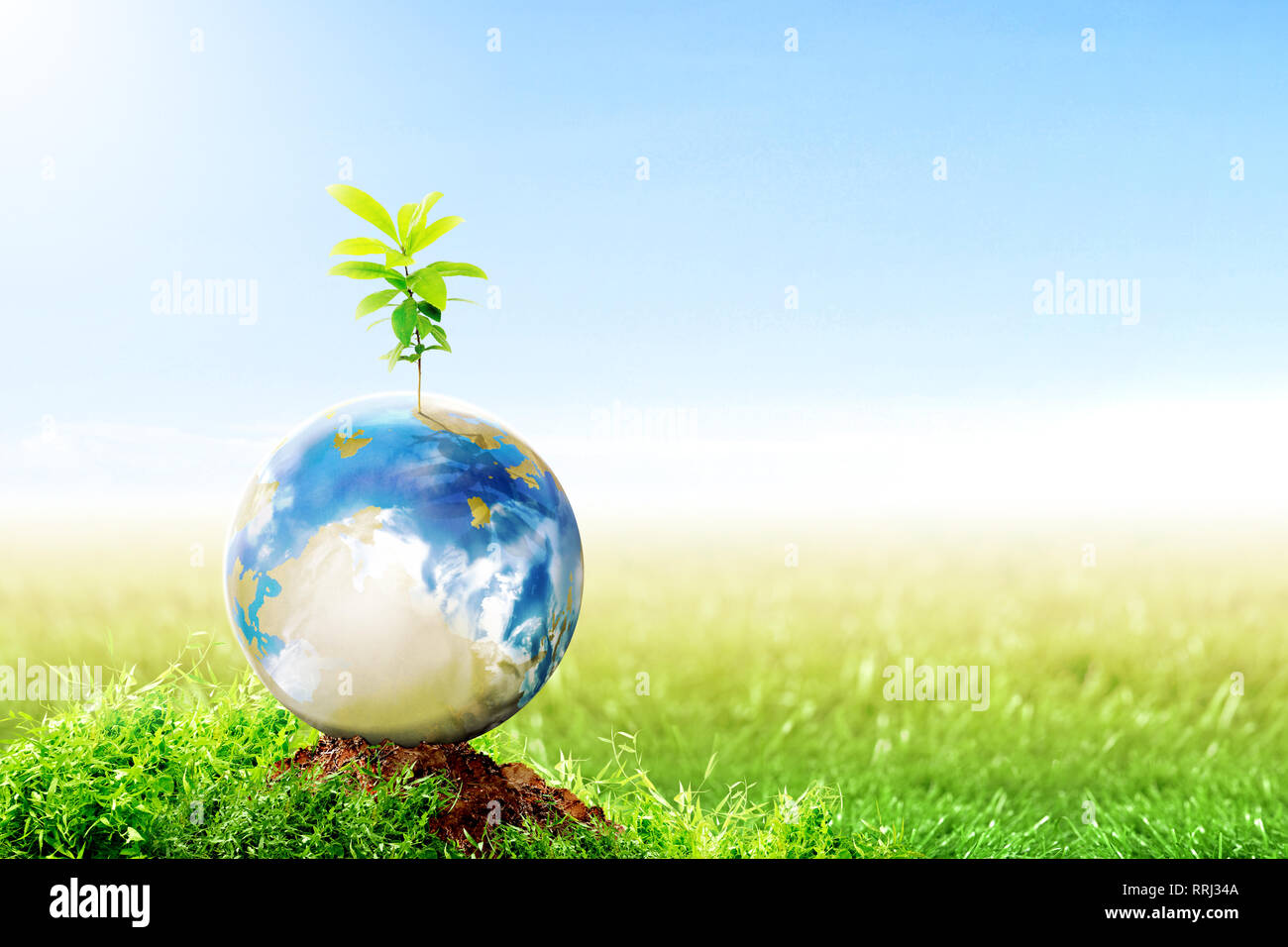 Earth with growing plant on fertile soil in meadow with sunlight and ...
