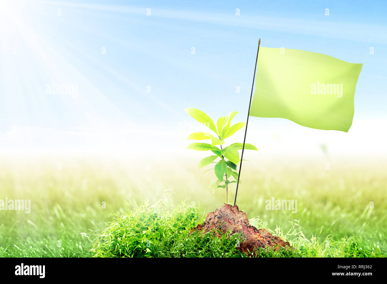 Young plant and small pole with blank green flag on fertile soil in ...