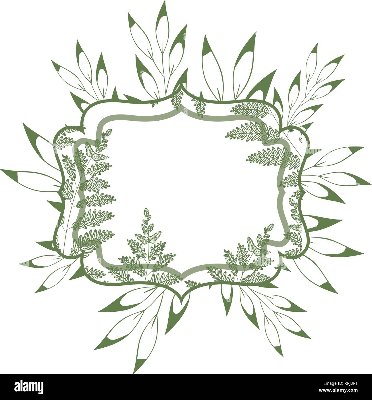 frame with plants and herbs isolated icon Stock Vector Image & Art - Alamy