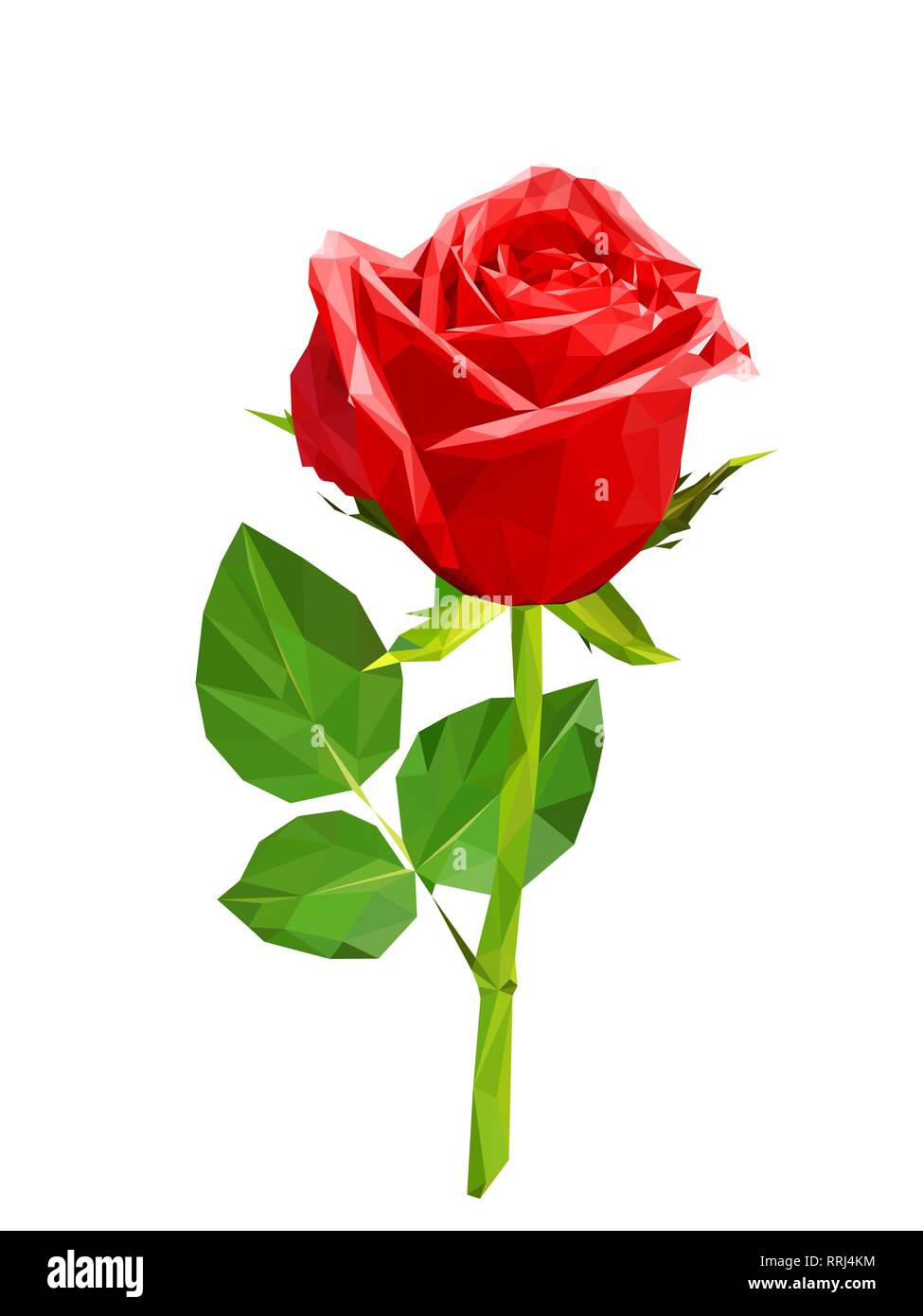 Red polygon rose Stock Vector Image & Art - Alamy
