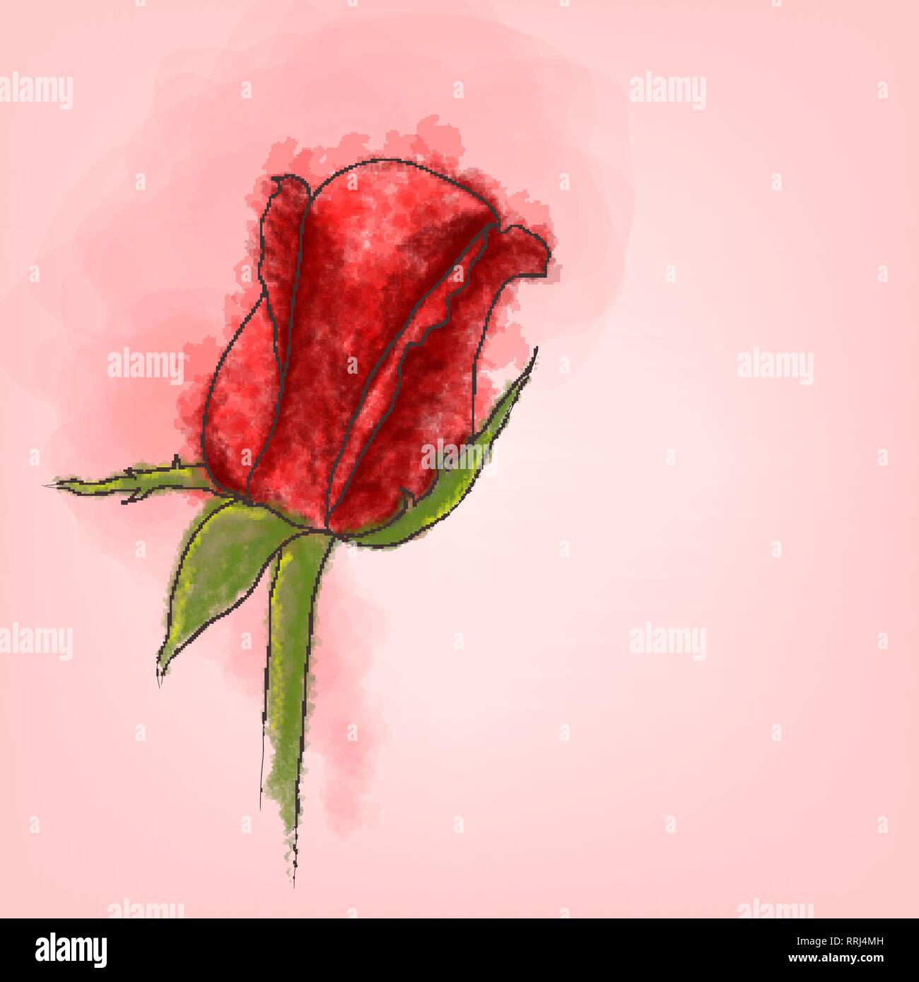 Single red rose vector with watercolor style Stock Vector Image & Art ...