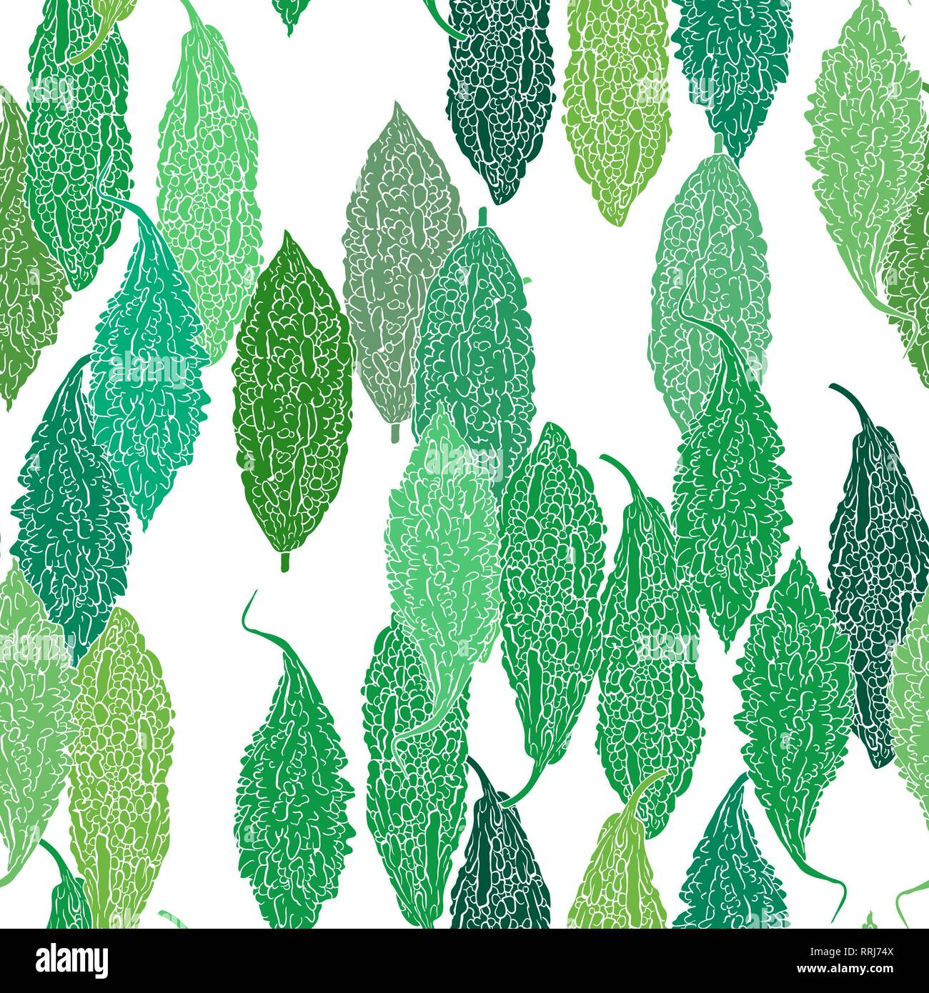 Bitter gourd background Stock Vector Images - Alamy