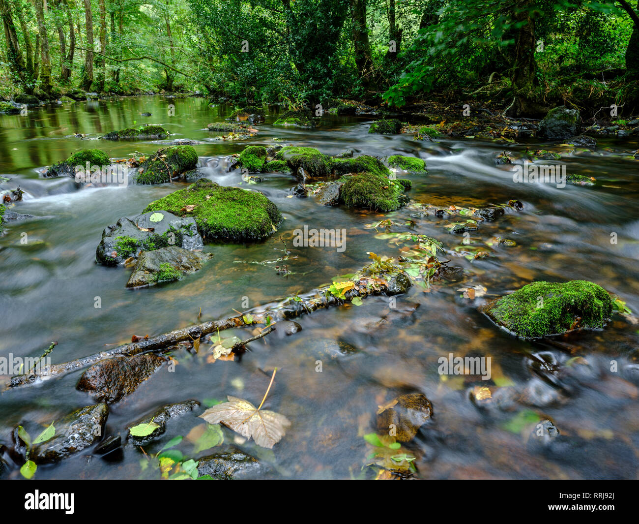 Bovey tracey hi-res stock photography and images - Alamy