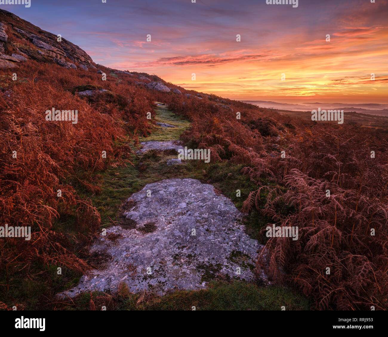 Twilight on the slopes below Saddle Tor with mist in the Teign Valley ...