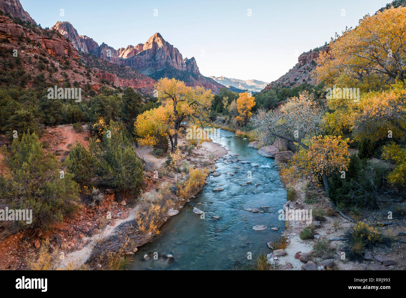 View along the Virgin River to the Watchman, autumn, Canyon Junction ...