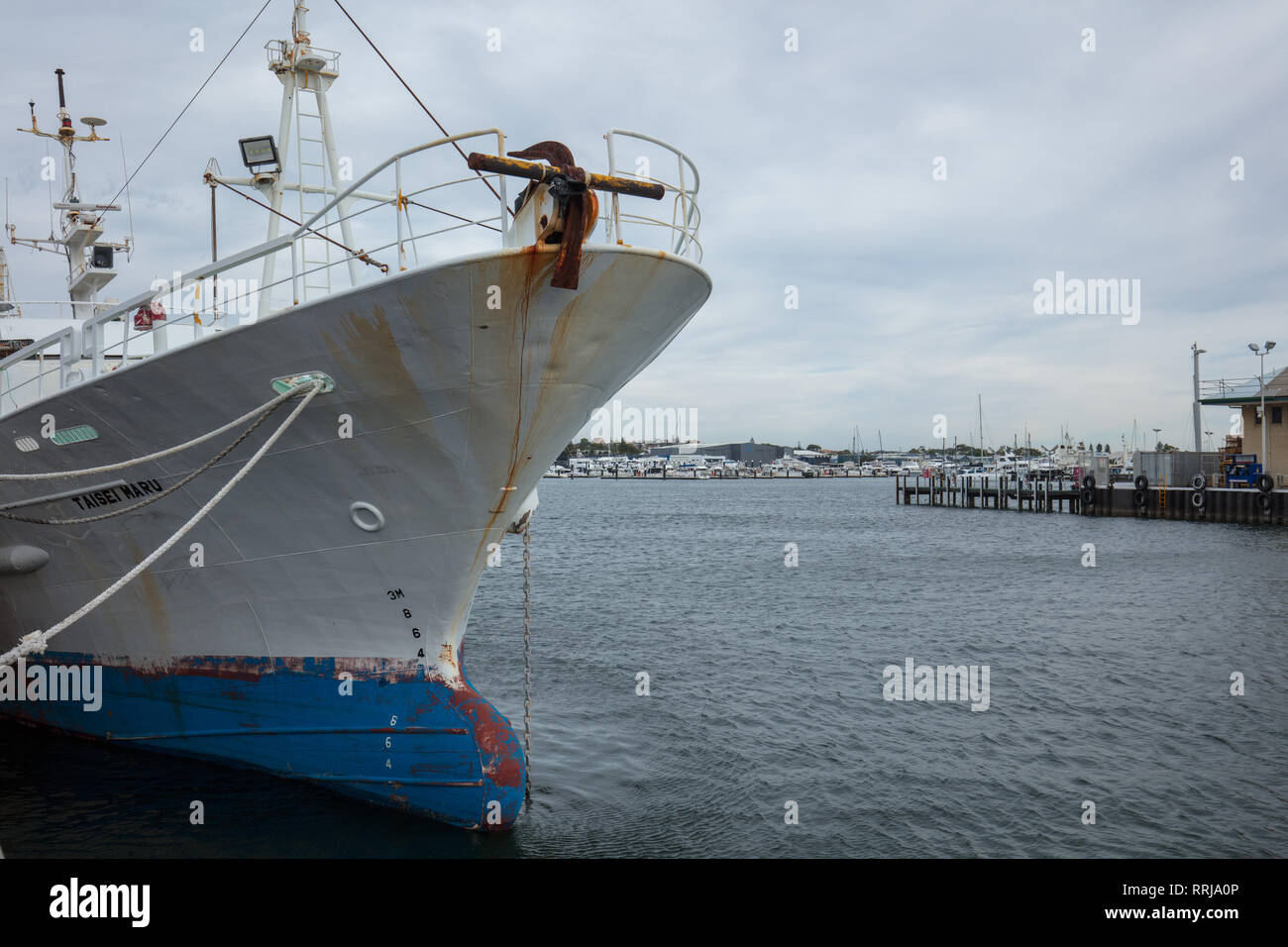 Fishing indian ocean fleet hi-res stock photography and images - Alamy