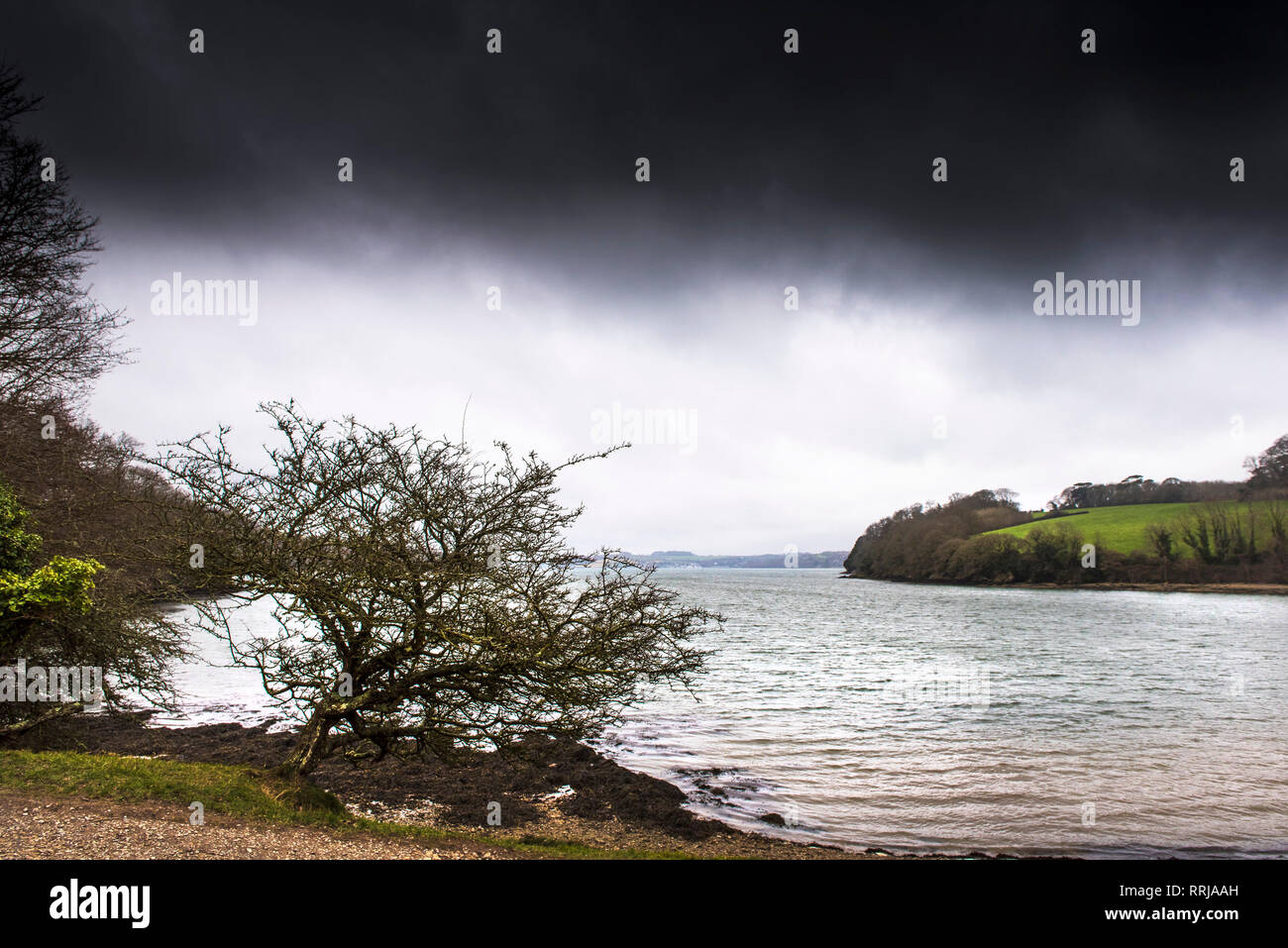 The coast around the River Fal in Cornwall Stock Photo - Alamy