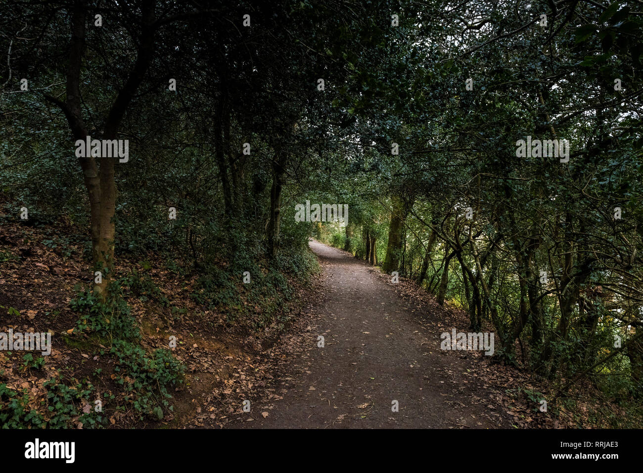 Feock Cornwall High Resolution Stock Photography and Images - Alamy