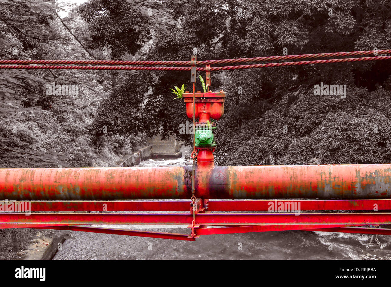 focus "water pipe Stock Photo - Alamy