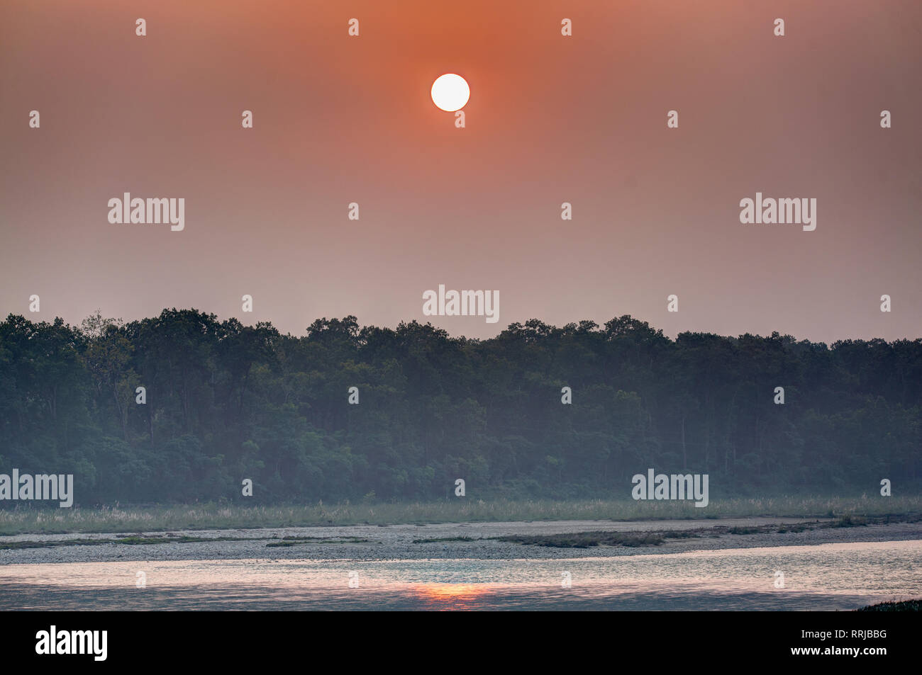 Chitwan national park nepal night hi-res stock photography and images ...