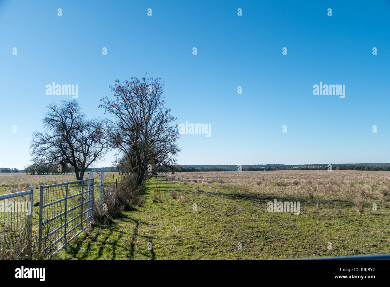 View of Open Farm Land With White Gate next to Trees Stock Photo - Alamy