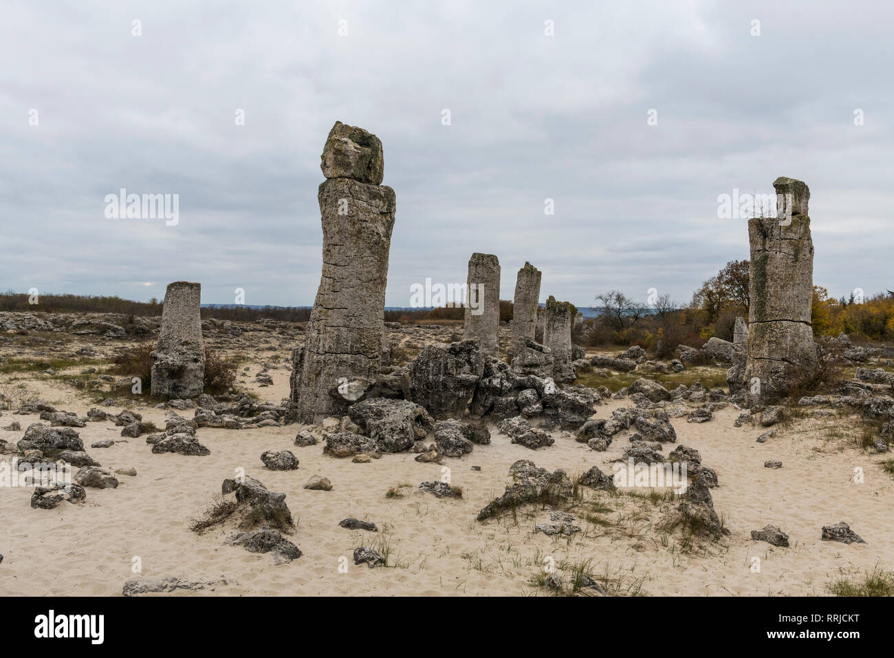Stone desert Pobiti Kamani rock phenomenon, near Varna, Bulgaria ...