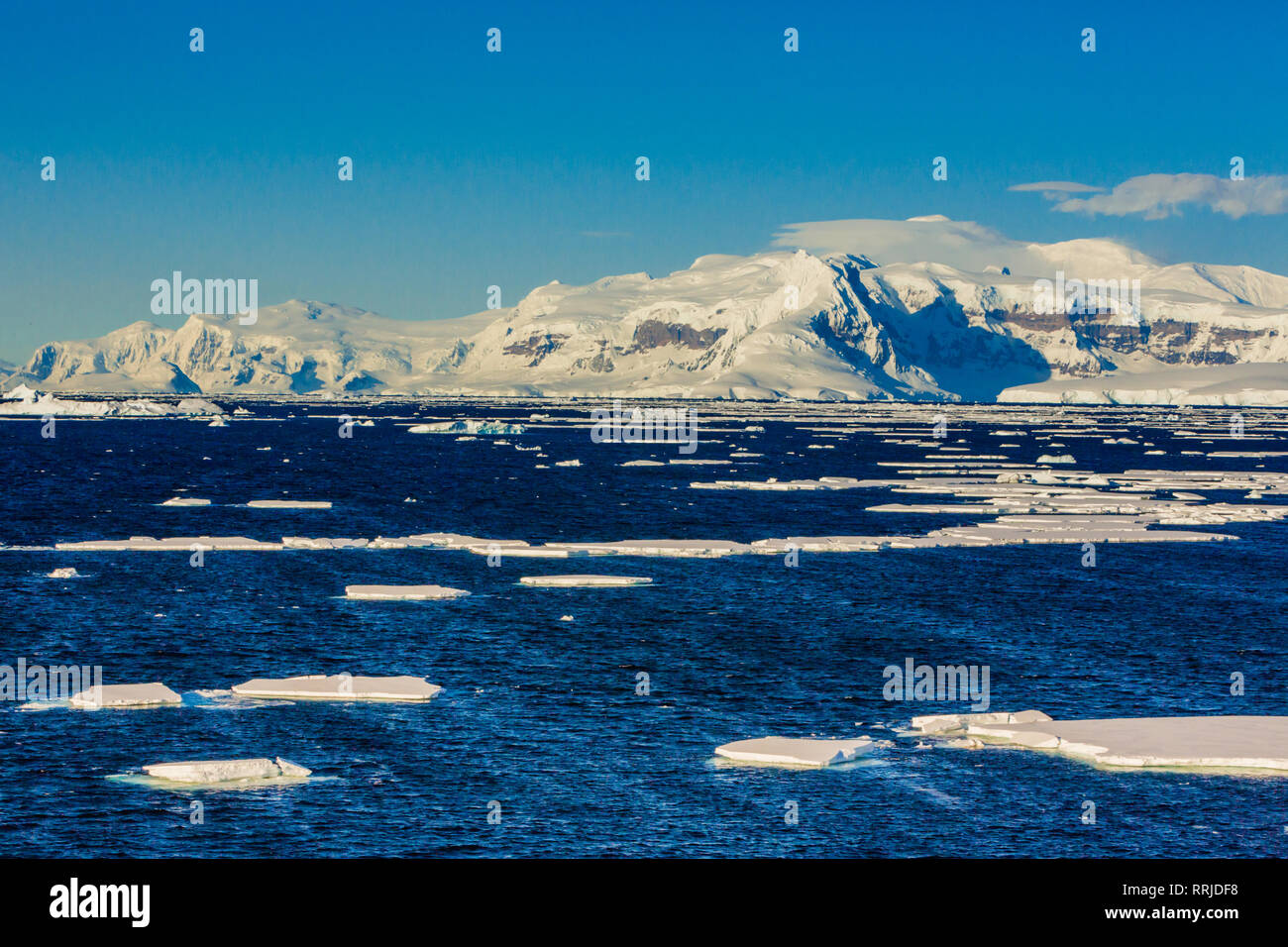Scenic view of the glacial ice and floating icebergs in Antarctica ...