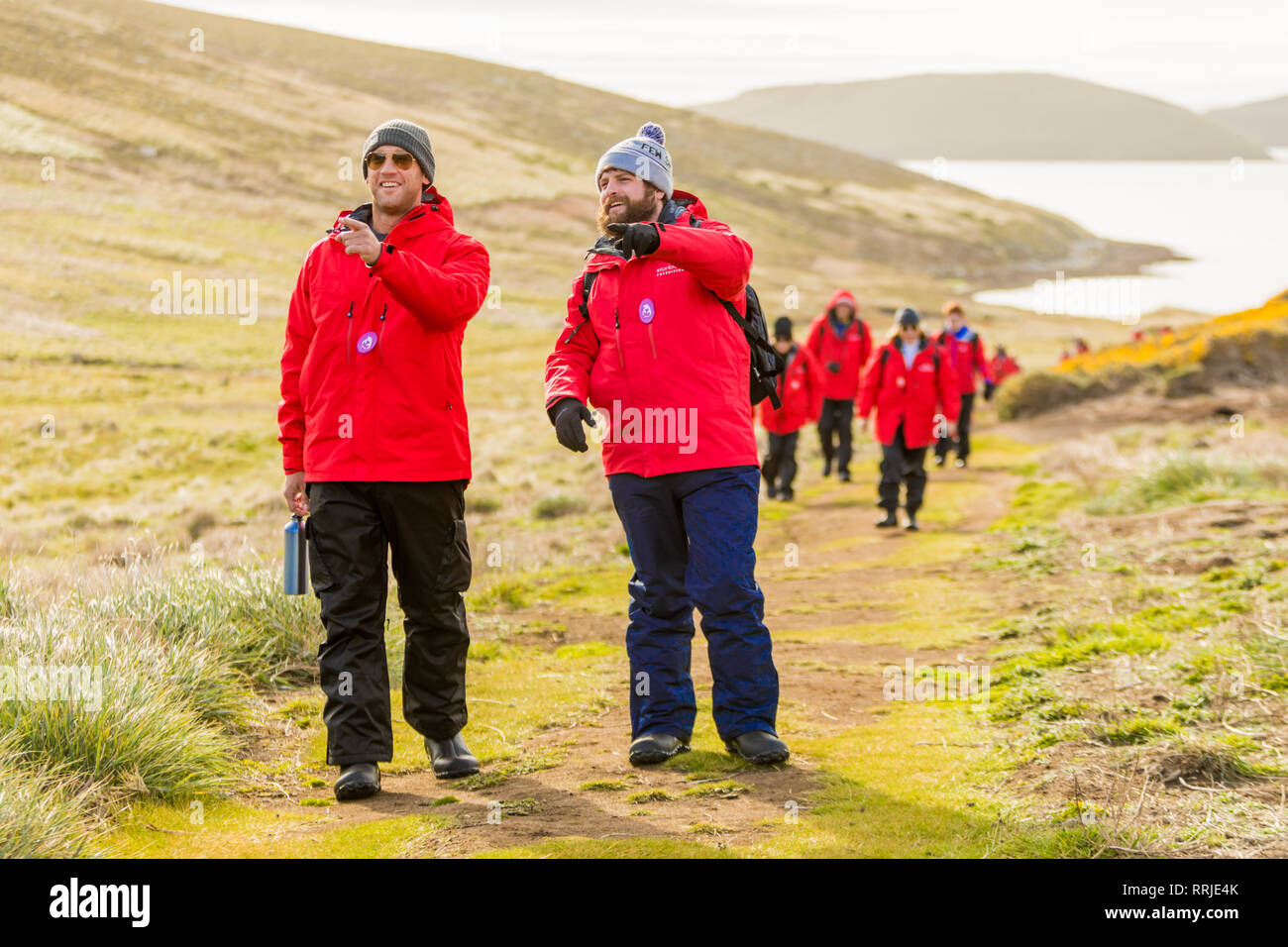 Exploring New Island on the Falkland Islands, South America Stock Photo ...