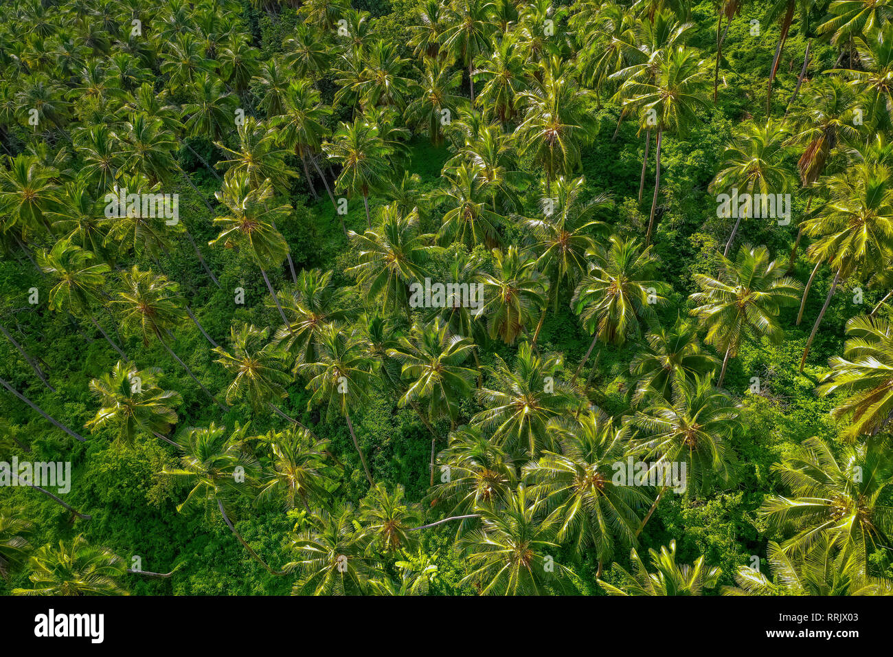 Taipivai Valley High Resolution Stock Photography and Images - Alamy