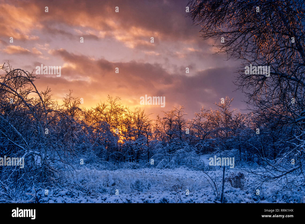 Ontario sunset hi-res stock photography and images - Alamy