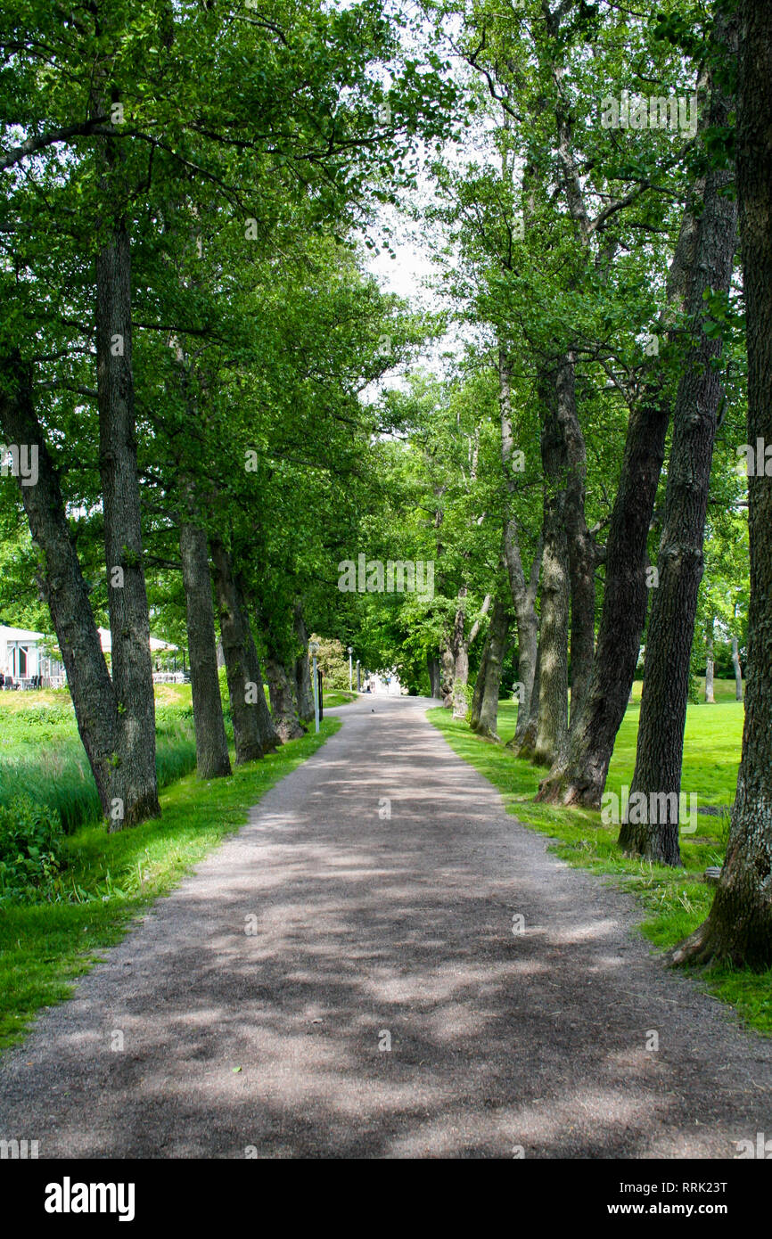 Road surrounded by trees hi-res stock photography and images - Alamy