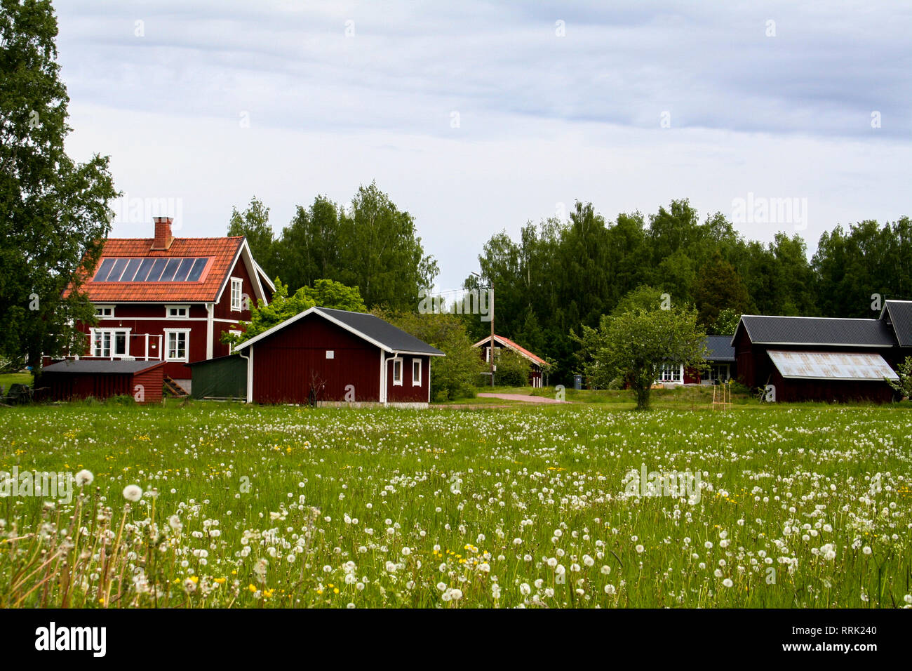 Rural houses in Sweden Stock Photo - Alamy