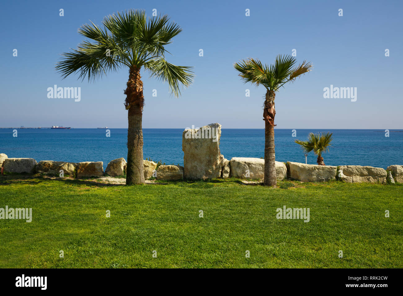 Landscape with the palm trees and Mediterranean sea in Cyprus Stock ...
