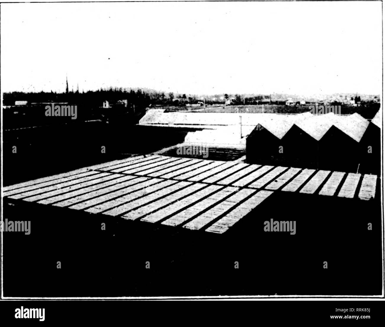 Cordial reception Black and White Stock Photos & Images - Alamy