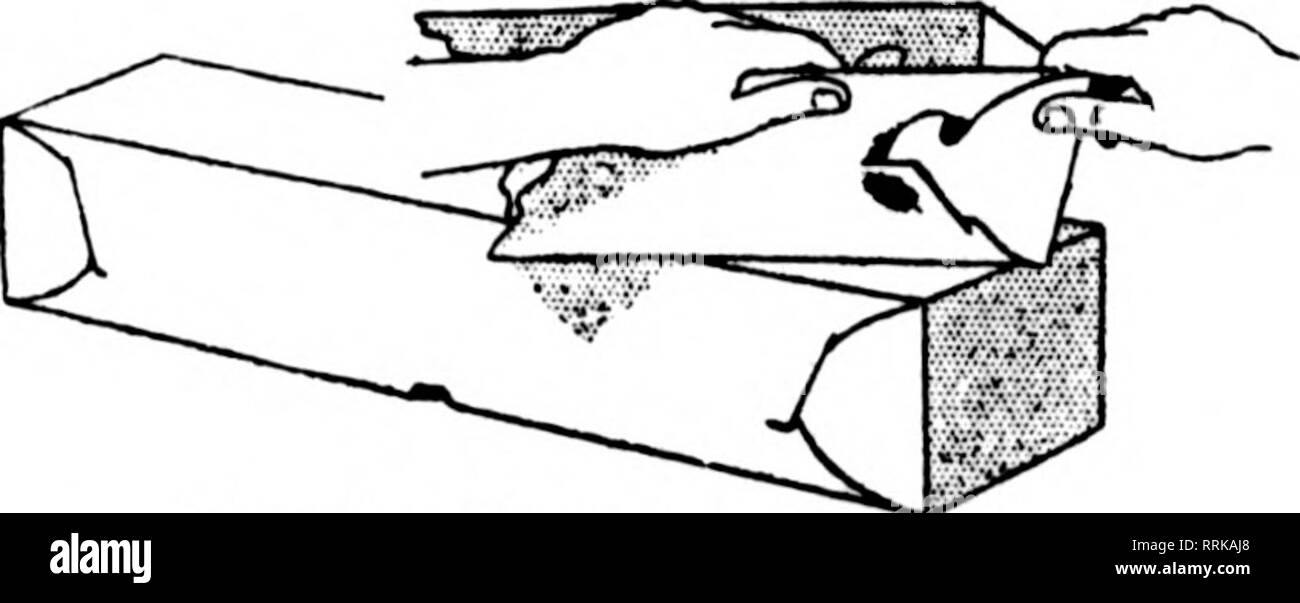 . Florists' review [microform]. Floriculture. ECONOMY FLOWER CARTONS ...