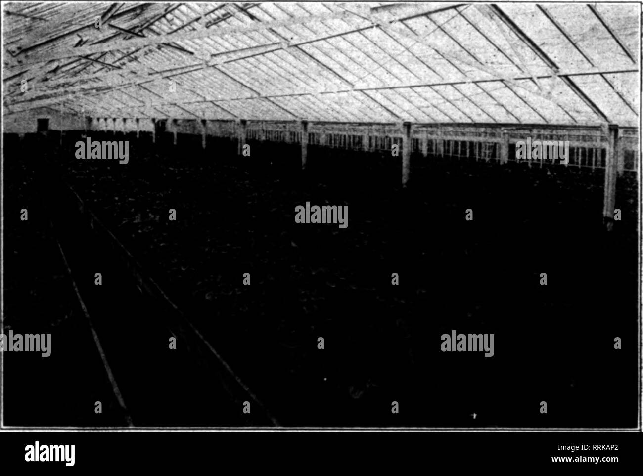 110 feet high hi-res stock photography and images - Alamy