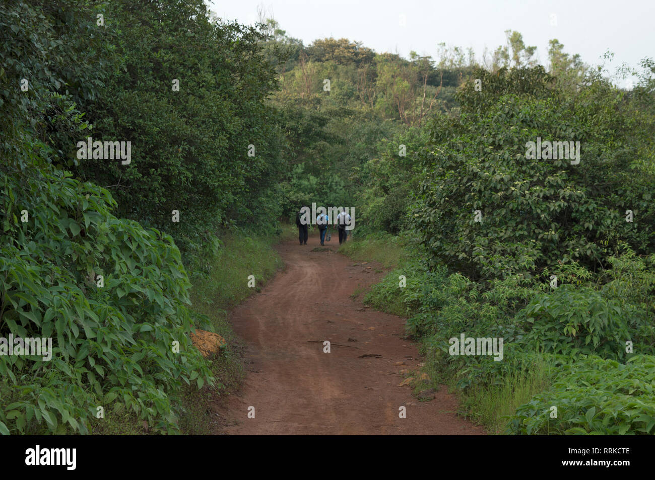 Men trekking hi-res stock photography and images - Alamy