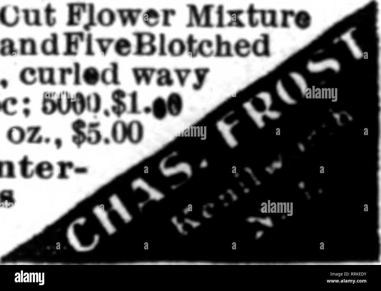 40 gr Black and White Stock Photos & Images - Alamy