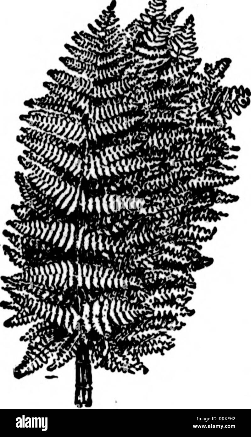 W 9 1 36 Black and White Stock Photos & Images - Alamy