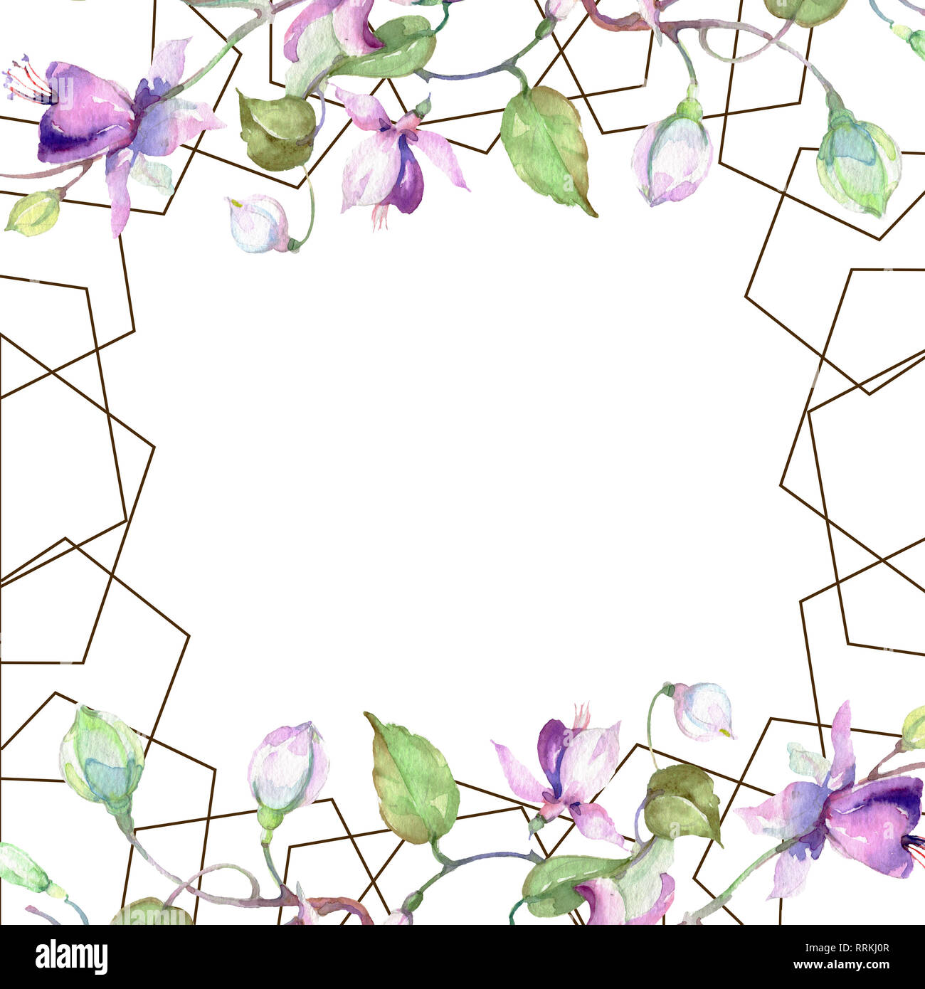 Purple fuchsia bouquet. Floral botanical flower. Watercolor background ...