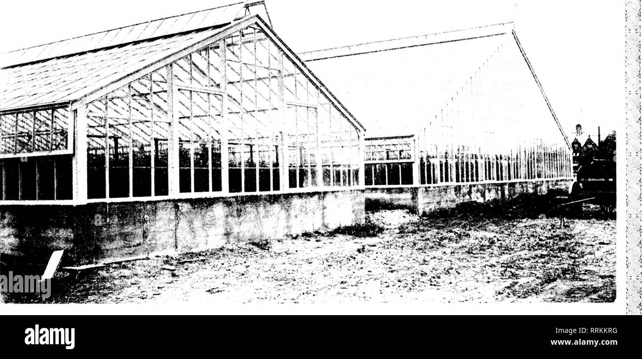The most glorified Black and White Stock Photos & Images - Alamy