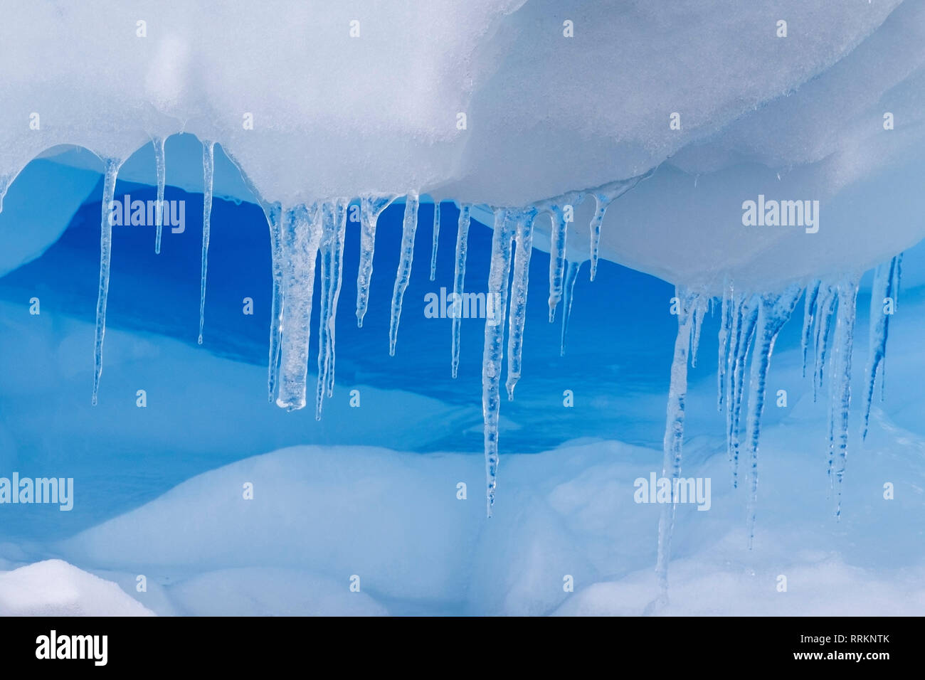 Iceberg scenery, Wilhelmina Bay, Antarctica, 13 January 2019 Stock ...