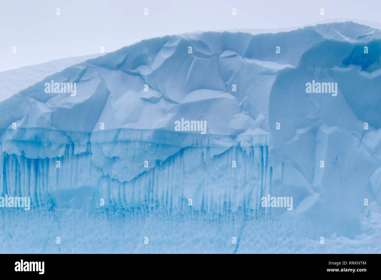 Iceberg scenery, Wilhelmina Bay, Antarctica, 13 January 2019 Stock ...