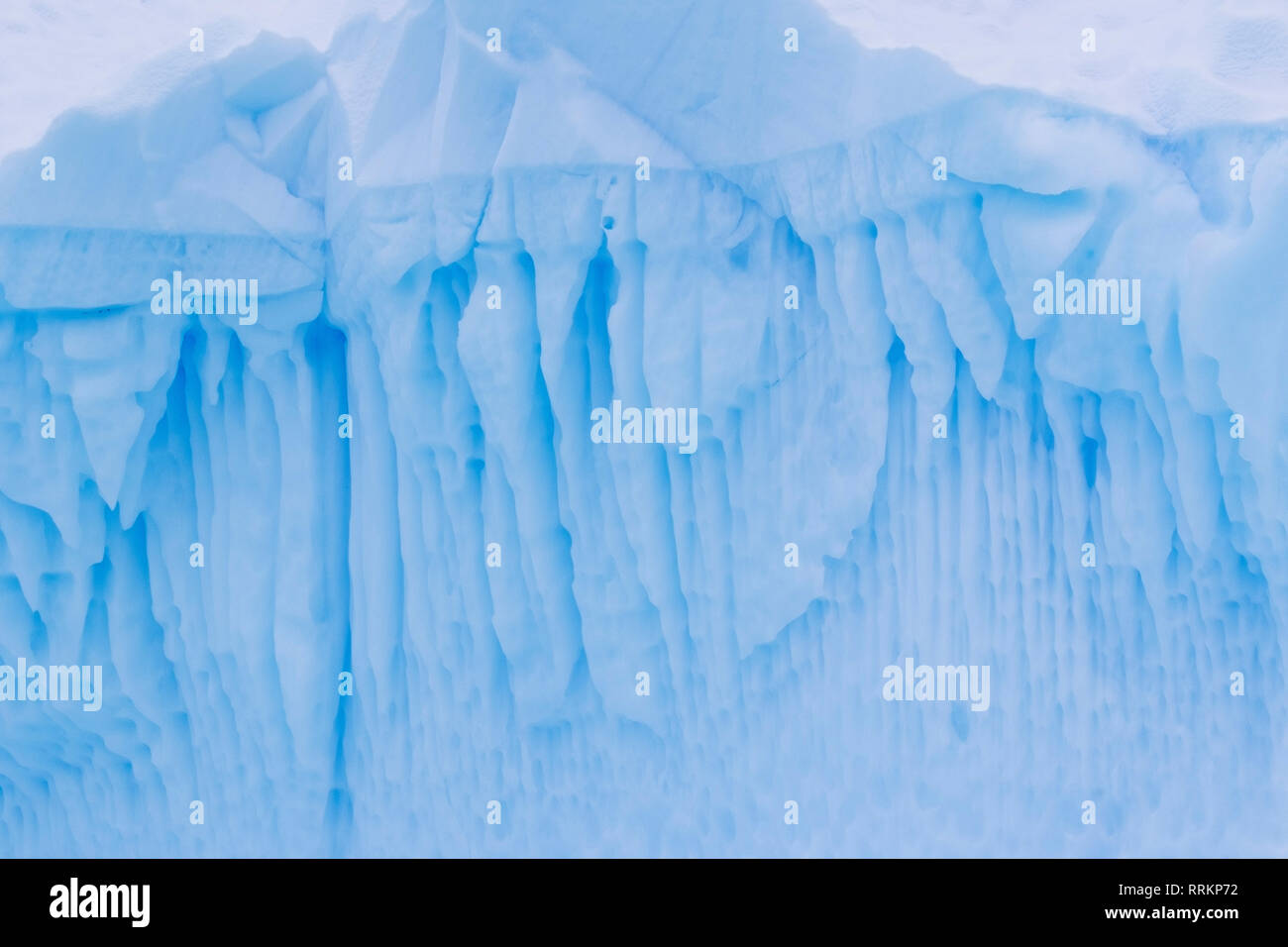 Iceberg scenery, Wilhelmina Bay, Antarctica, 13 January 2019 Stock ...