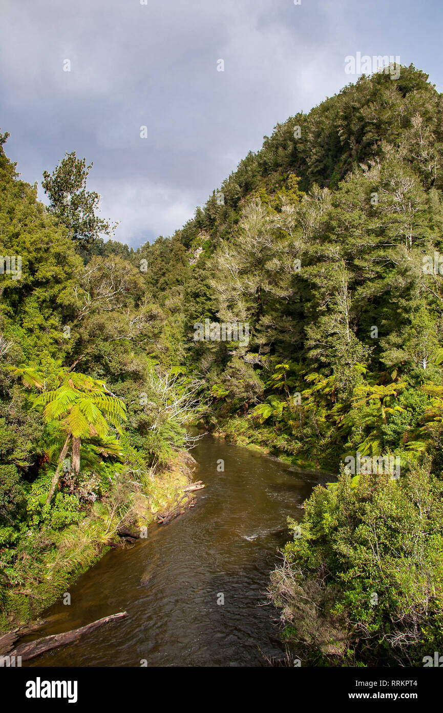 Tangarakau River gorge, Forgotten World Highway, New Zealand. Steep ...