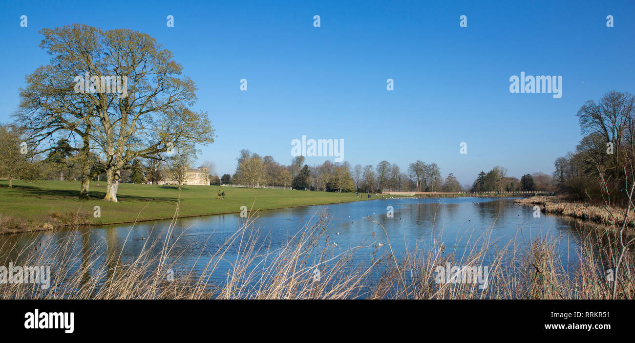 Lydiard hi-res stock photography and images - Alamy