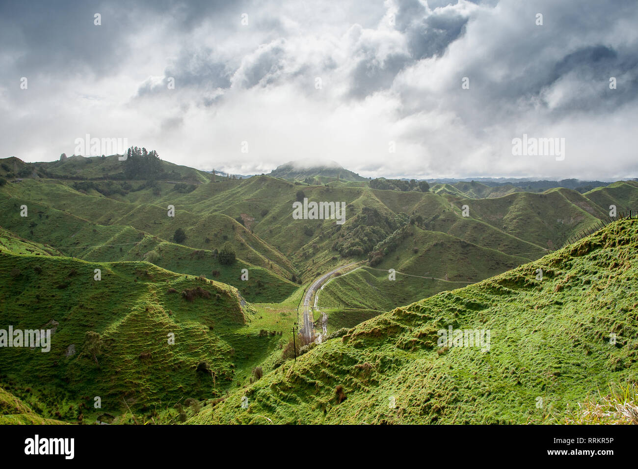 Tahora saddle hi-res stock photography and images - Alamy