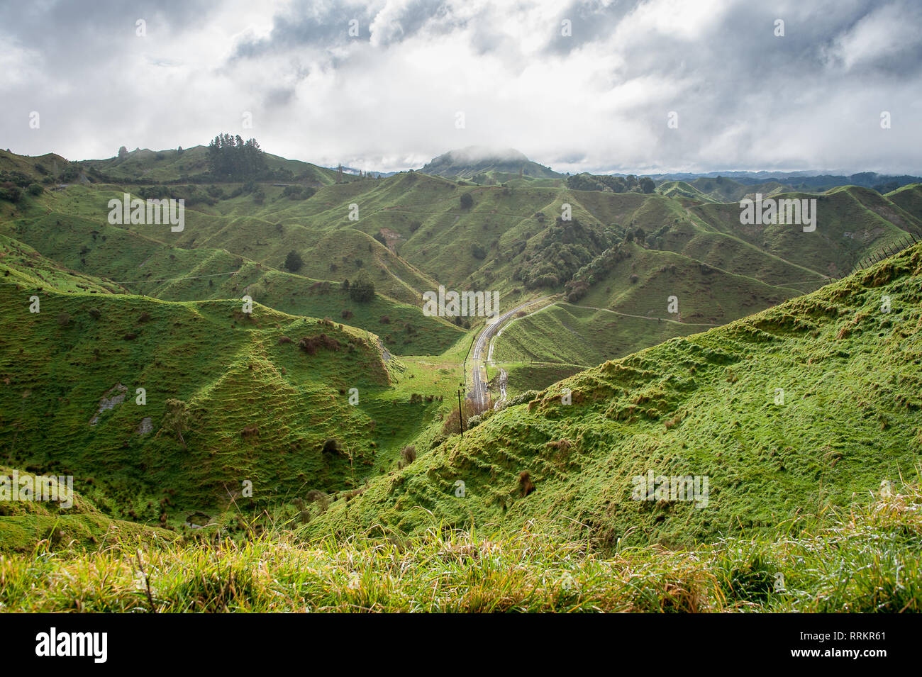 Tahora saddle hi-res stock photography and images - Alamy