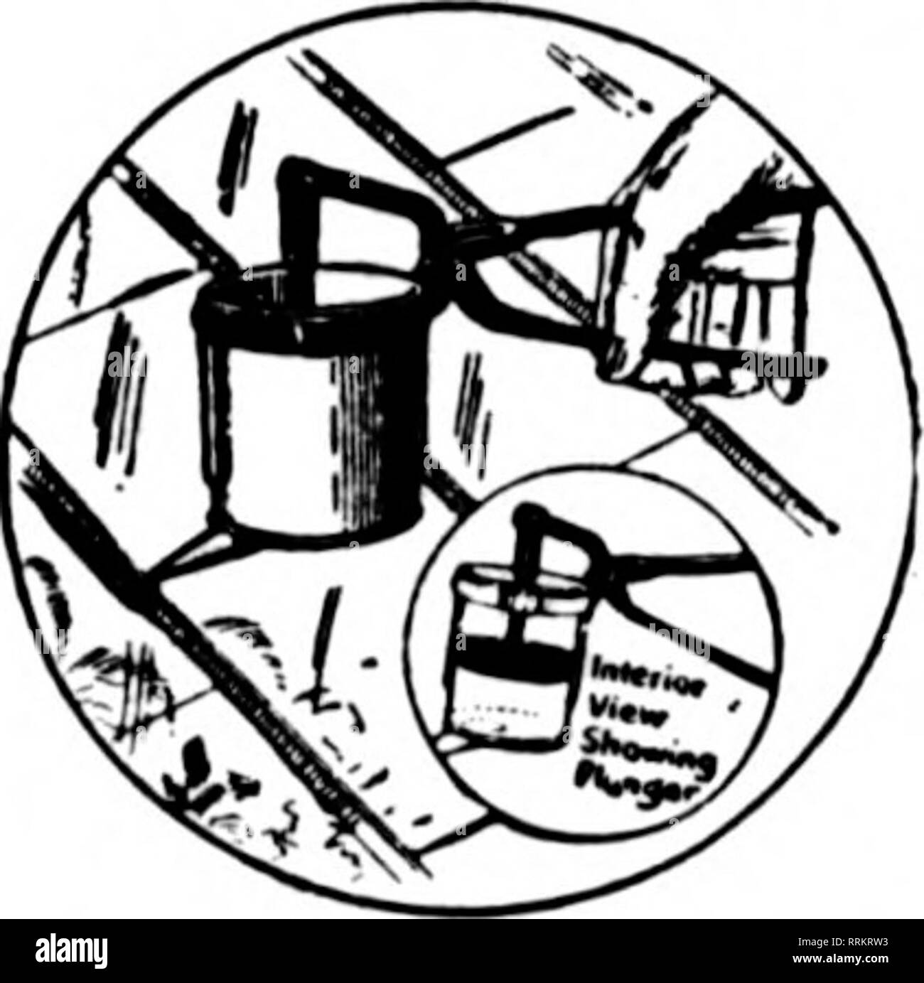 Nicotini hi-res stock photography and images - Alamy