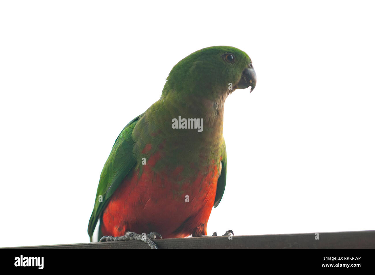 Gloucester tops hi-res stock photography and images - Alamy