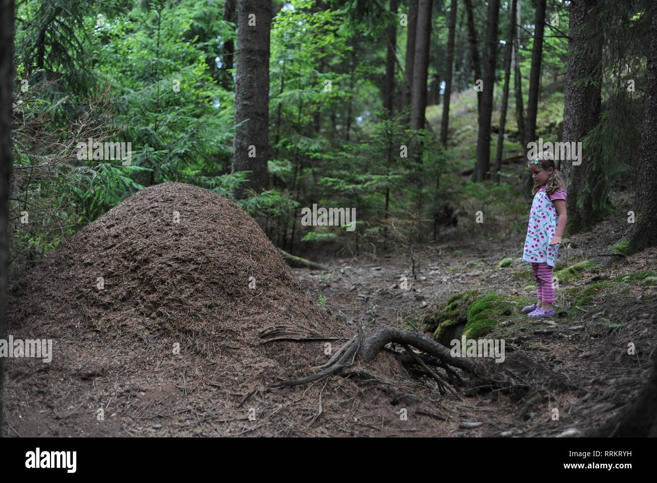 Child in Sweden Stock Photo - Alamy