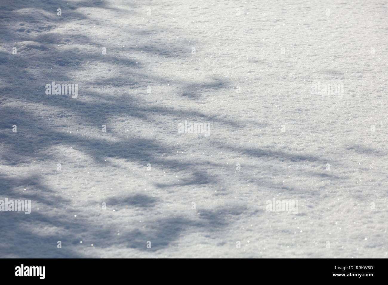 winter white snow and tree shadow nature background Stock Photo - Alamy
